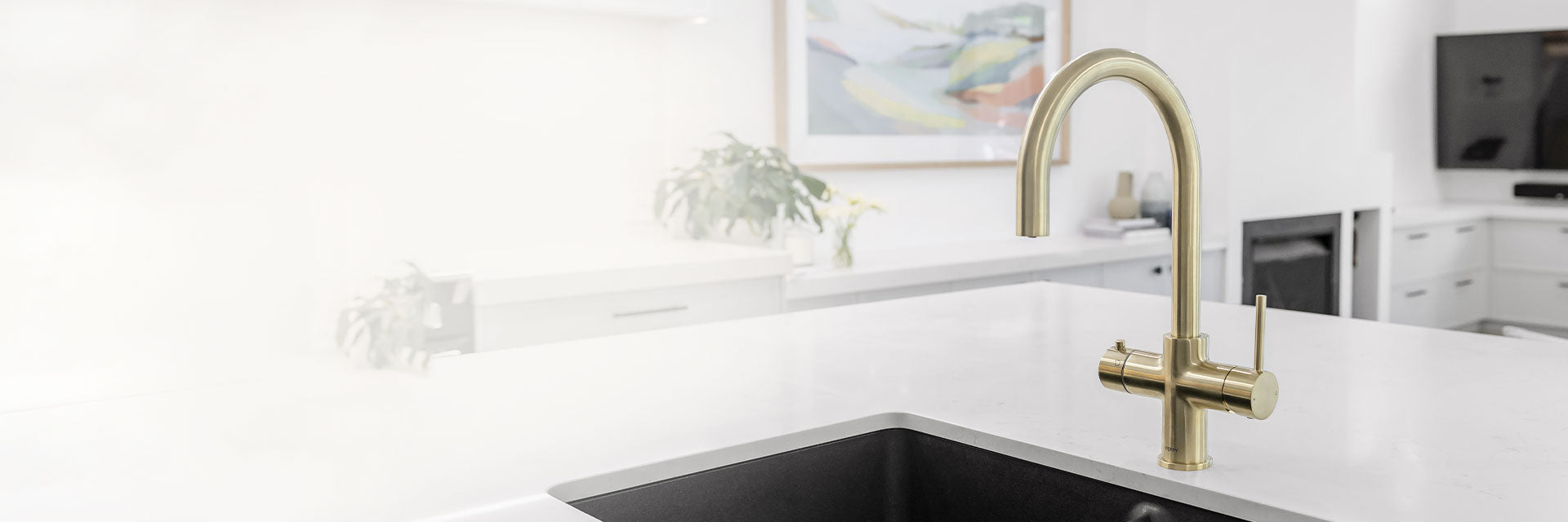 Peppy Taps - The ability to have Filtered 98 degree water Filtered chi